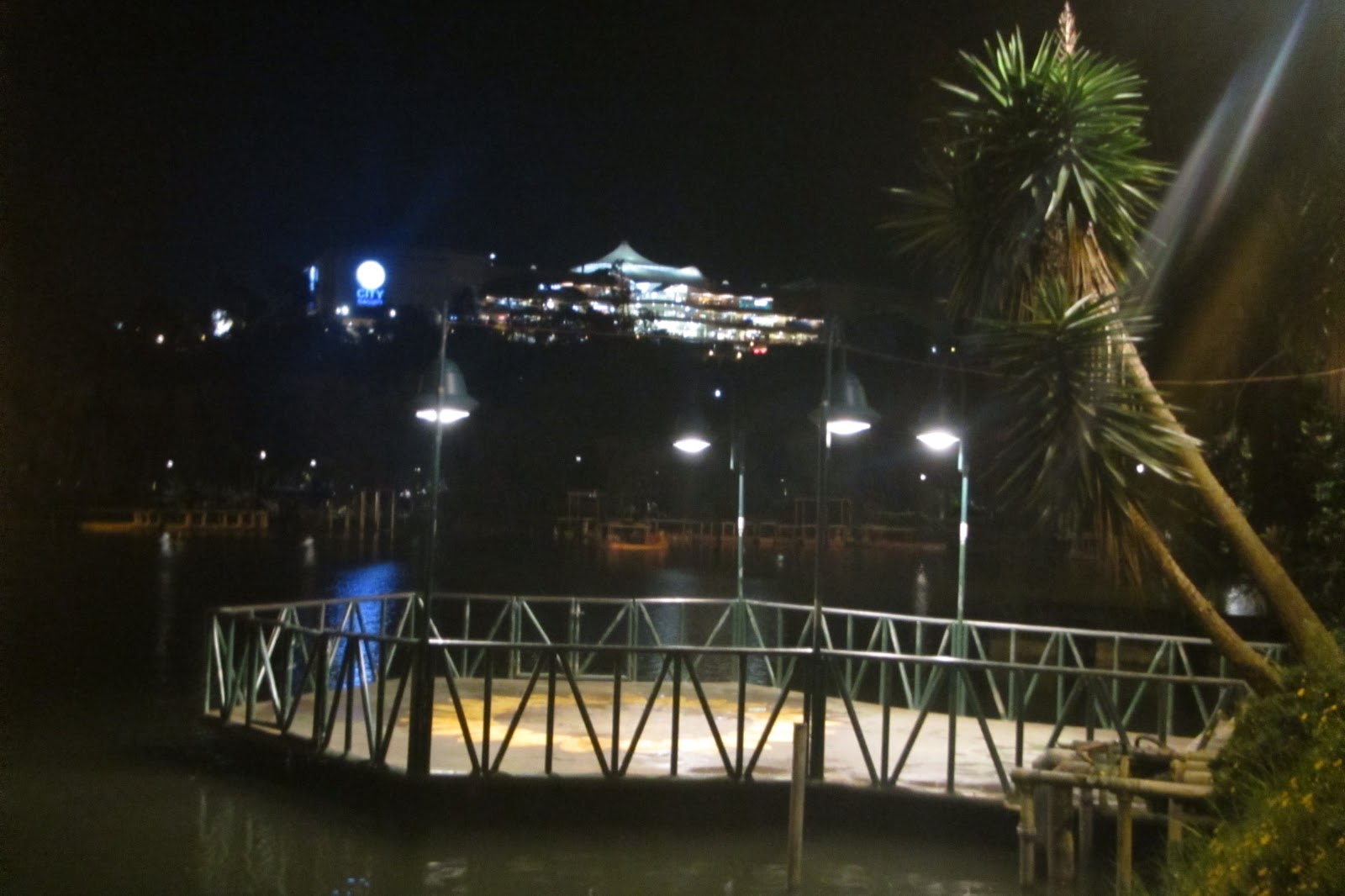 LEXICAL CROWN: THE NEWLY REHABILITATED BURNHAM PARK ATTRACTS MORE ...