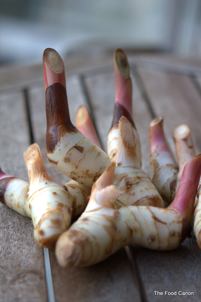 khazanahalamkita: lengkuas menyahbaukan ikan