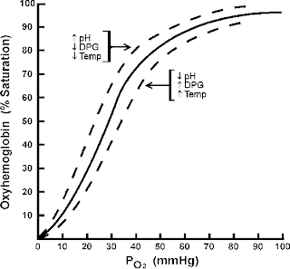 A Vet To Be: Gas Transport