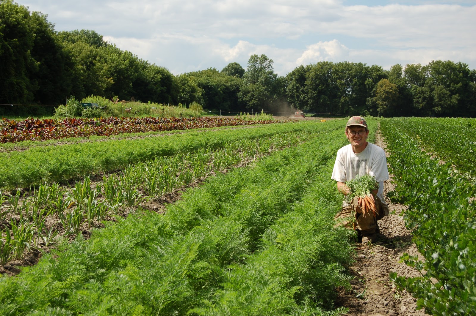 World of Knowledge: Carrot Benefit