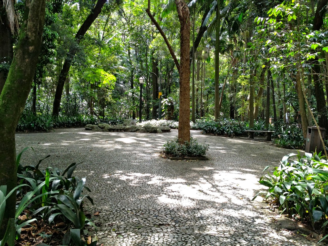 Parque Trianon ou Tenente Siqueira Campos em São Paulo ~ Áreas Verdes ...
