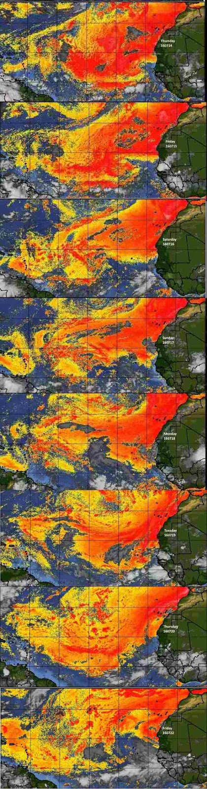 Roatan Weather: Sunny with Moderate Winds