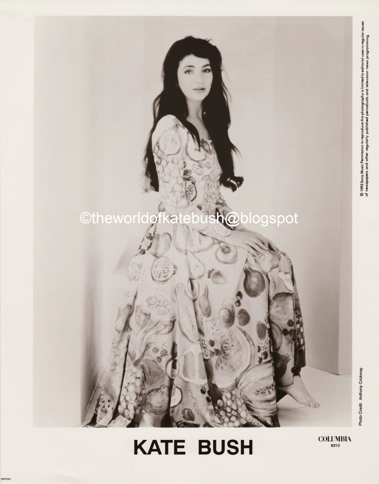 THE WORLD OF KATE BUSH: Promotional Publicity Photographs