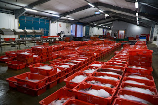 Through the Gaps! - Newlyn Fishing News: New blueprints for managing ...