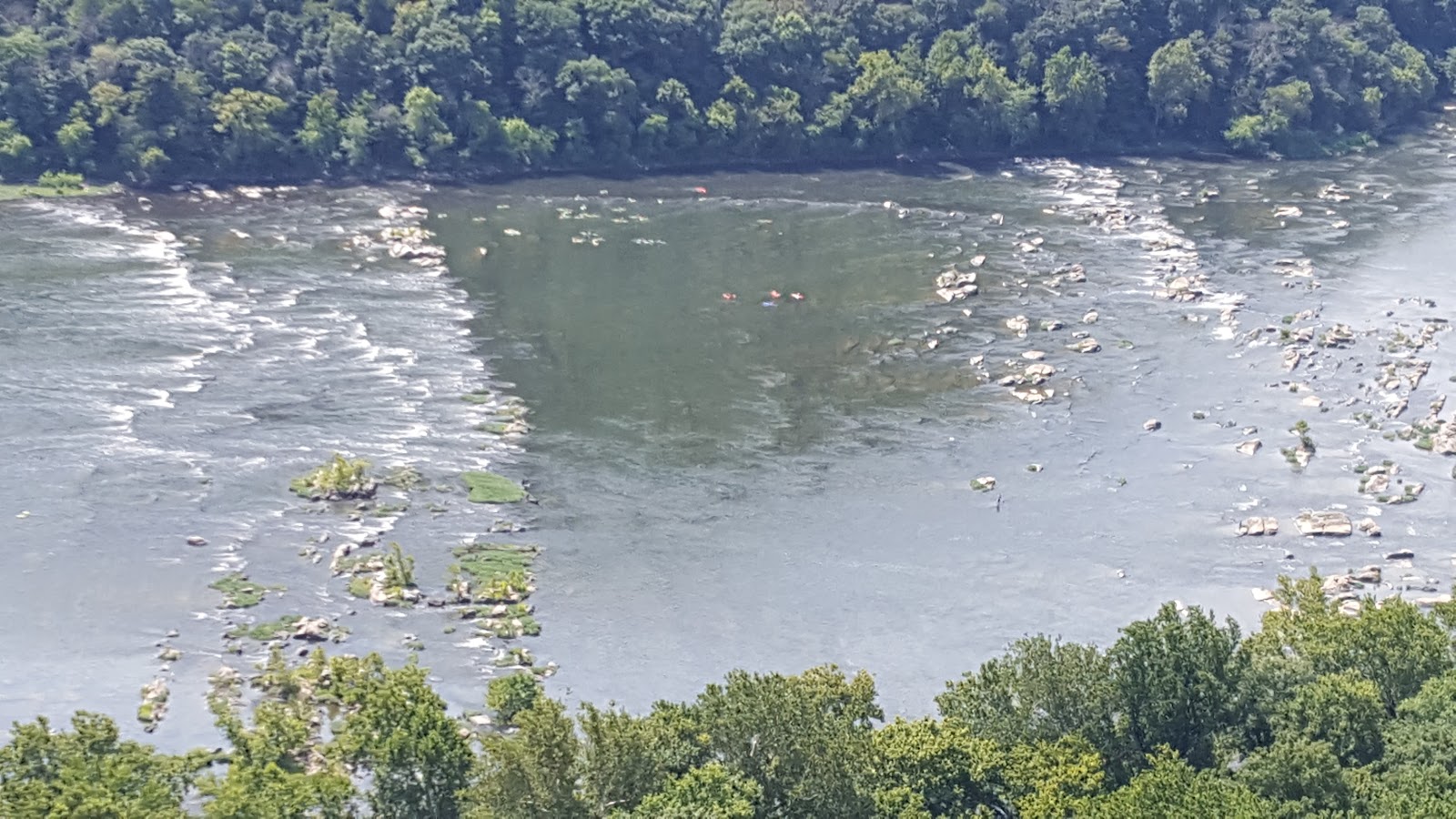 Hiking With Hammer: Weverton Cliff Hike