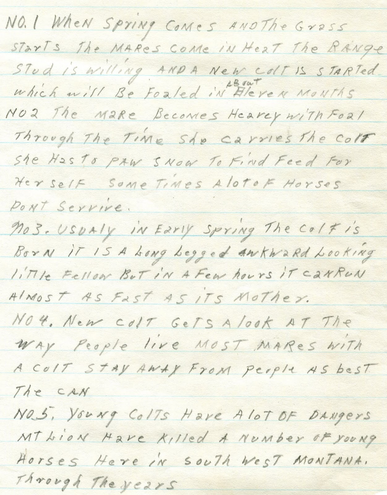 Dull Tool Dim Bulb: Harry Bentz Cowboy Artist / Western Folk Artist