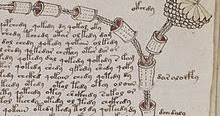 the Wood between Worlds: How To Read the Voynich Manuscript