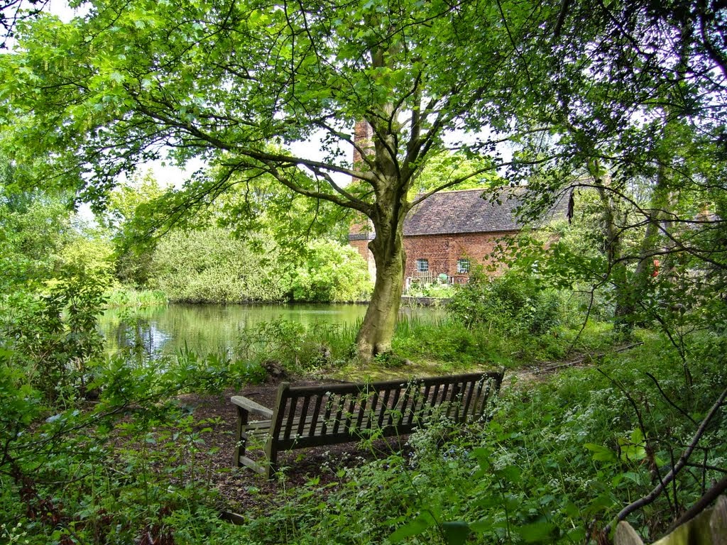 Oz Conservative: Tolkien & the Sarehole Mill