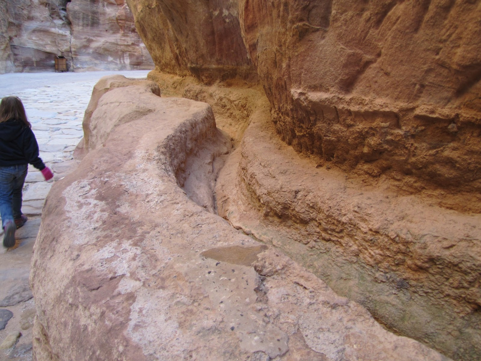 There and back again, A Harding's Tale.: Petra day 1 2/16/13