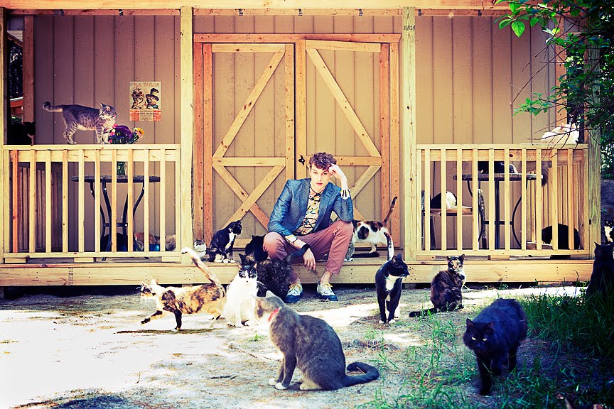 Catsparella: Feline Fashion Shoot at Caboodle Ranch Cat Sanctuary