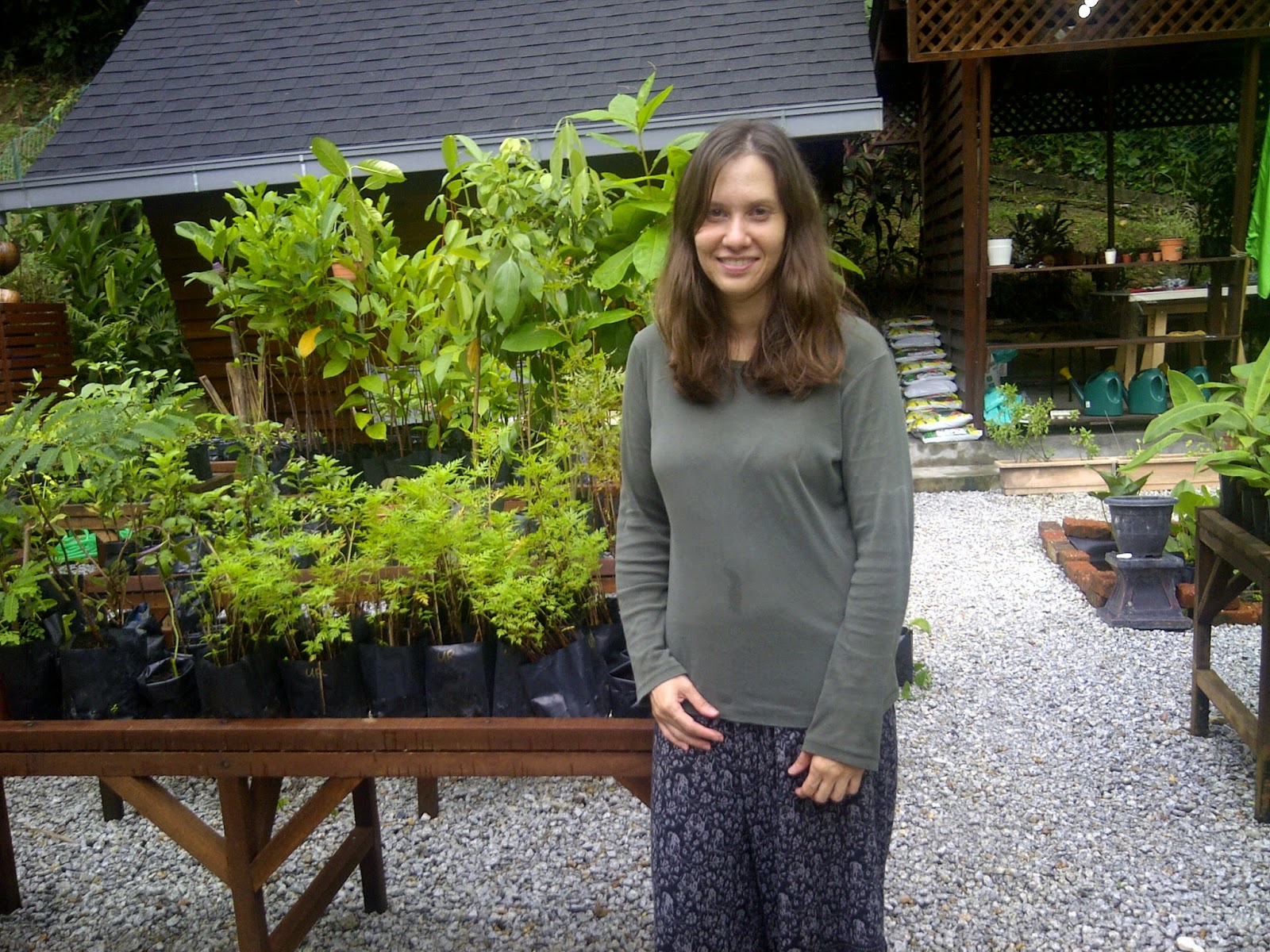 MNS Green Living: The Free Tree Society of Kuala Lumpur