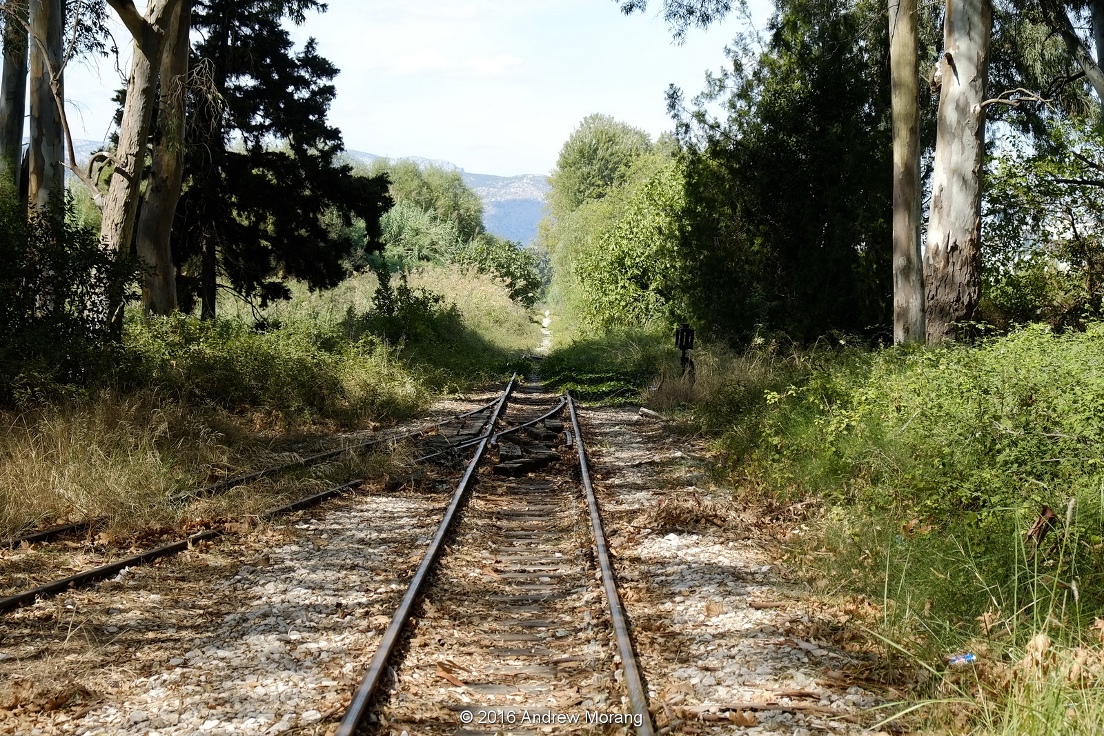 Urban Decay: Railroads of Greece 6: Abandoned Steam Trains, Myloi