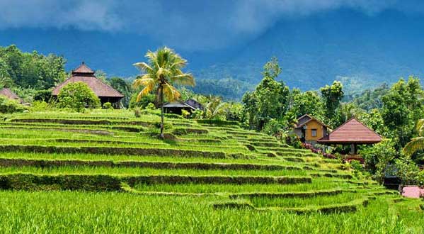 Tempat Wisata di Ubud Bali yang Mengagumkan - Lihat Wisata