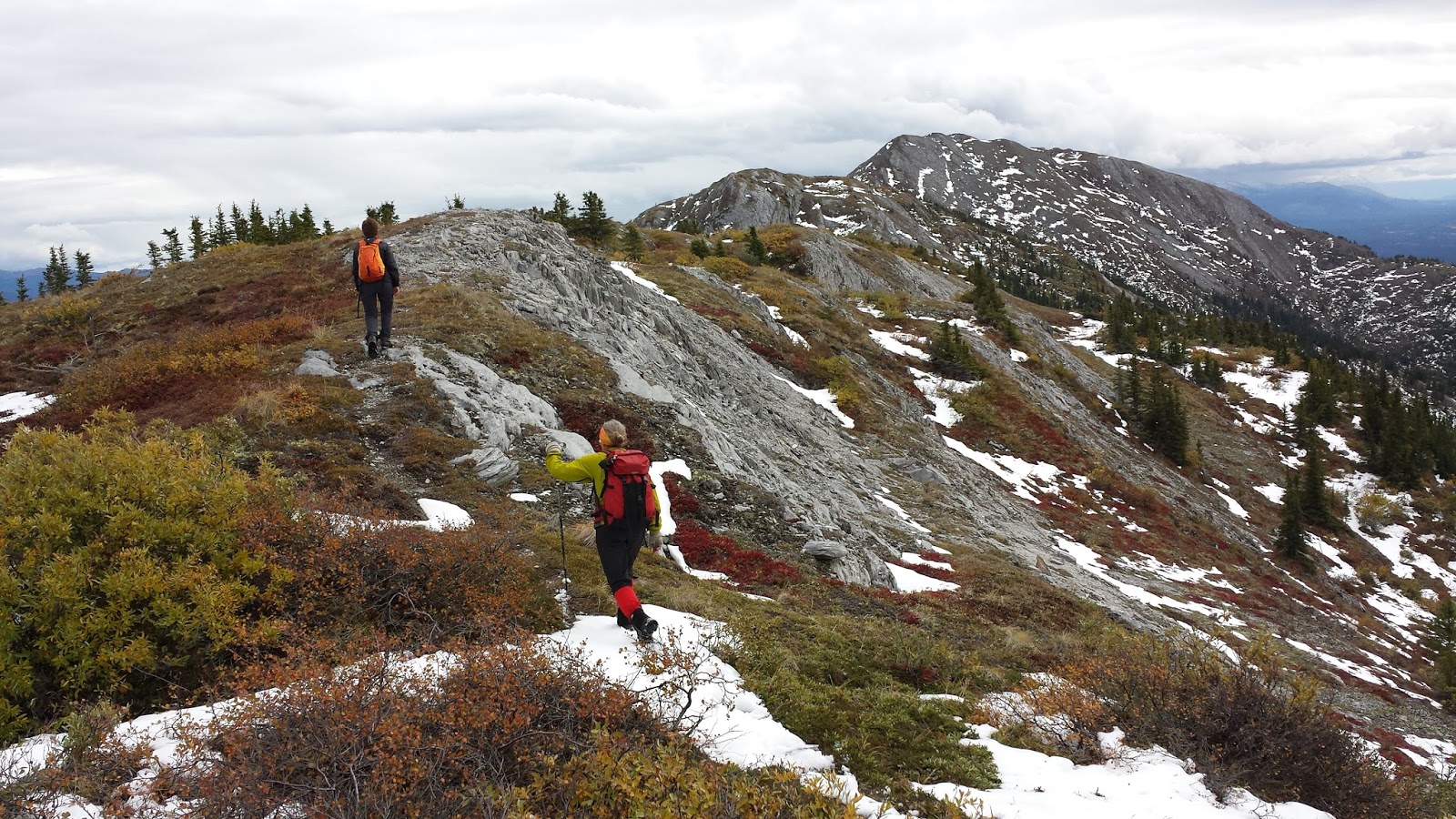 Talking Trails: Hiking around Whitehorse: Grey Mountain Traverse
