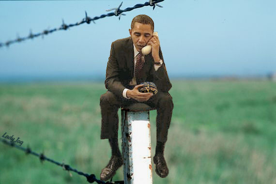 Three Beers Later...: Obama the Post-Turtle President!