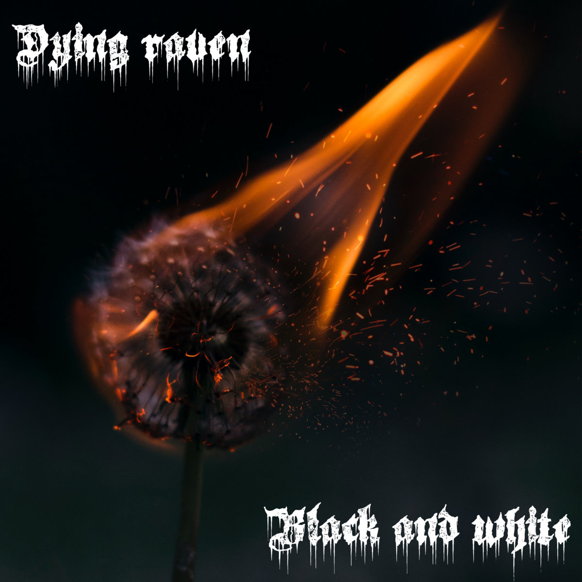Dying Raven - "Black And White" - 2023 | RealmOfMetal.org