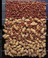 Blog De Todo un Poco sobre La Salud: El Poder del Color Marrón - Frutos ...