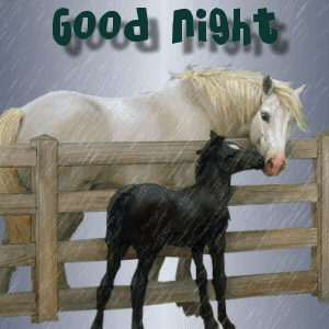 Pedaços de Mim: Good Night