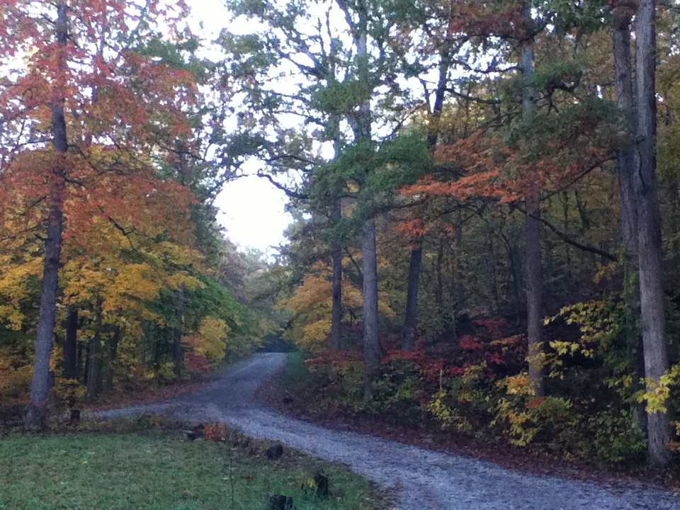 A Travelers Post..... : Southern Illinois - Shawnee National Forest