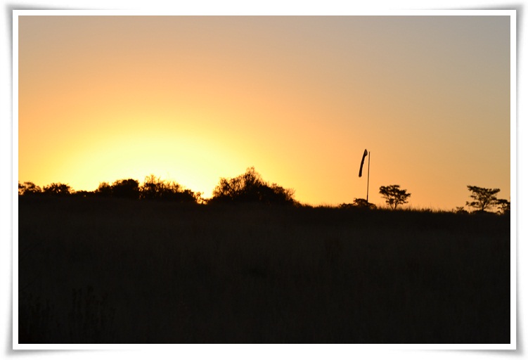 LIVING LIFE TO THE MAX: OUR AFRICAN SAFARI: "SHIBULA" DAY 1