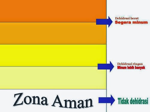 Mengenal Air Seni (Urine) Sebagai Indikator Tubuh - Warta IPTEK