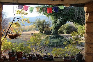 The Agri Handbook Blog: Rustler's Valley: view from a neighbour