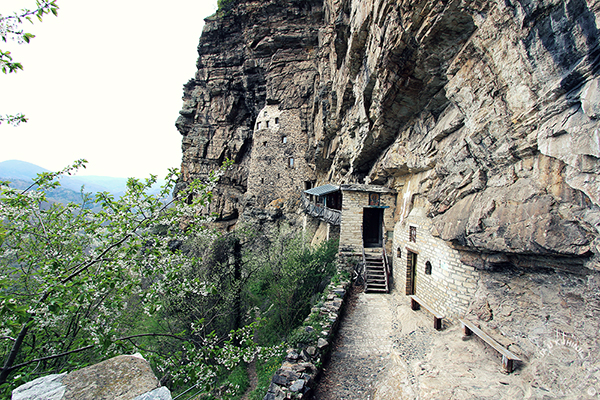 JA U KUHINJI...: Dolina jorgovana - Filija (flija, redača)