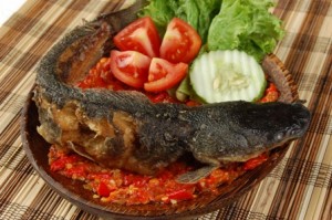 WARUNG GAYENG: NASI LELE PENYET