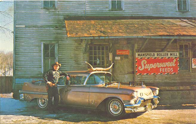 *Postcard Gems: Tex Terry & Cadillac
