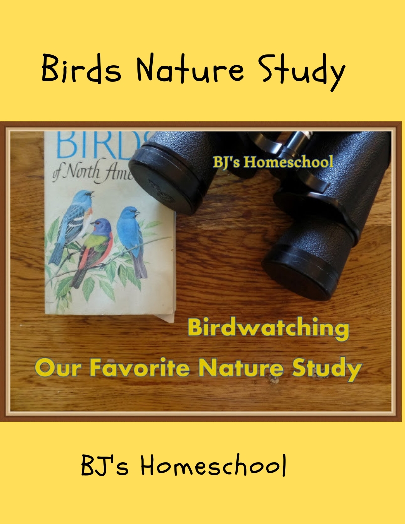 BJ's Homeschool : Birdwatching Nature Study - Simple Unit Study ...