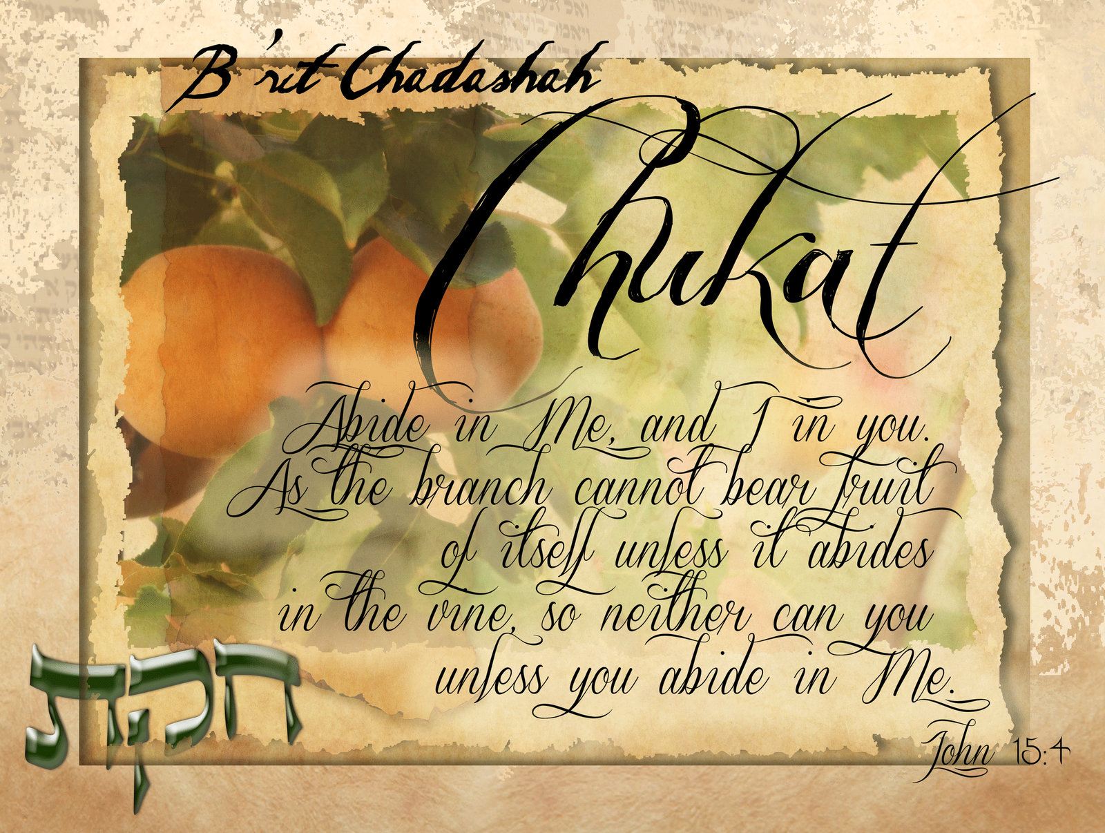 By His EVERY Word: The King’s “High” Way | Parashat Chukat | By His ...