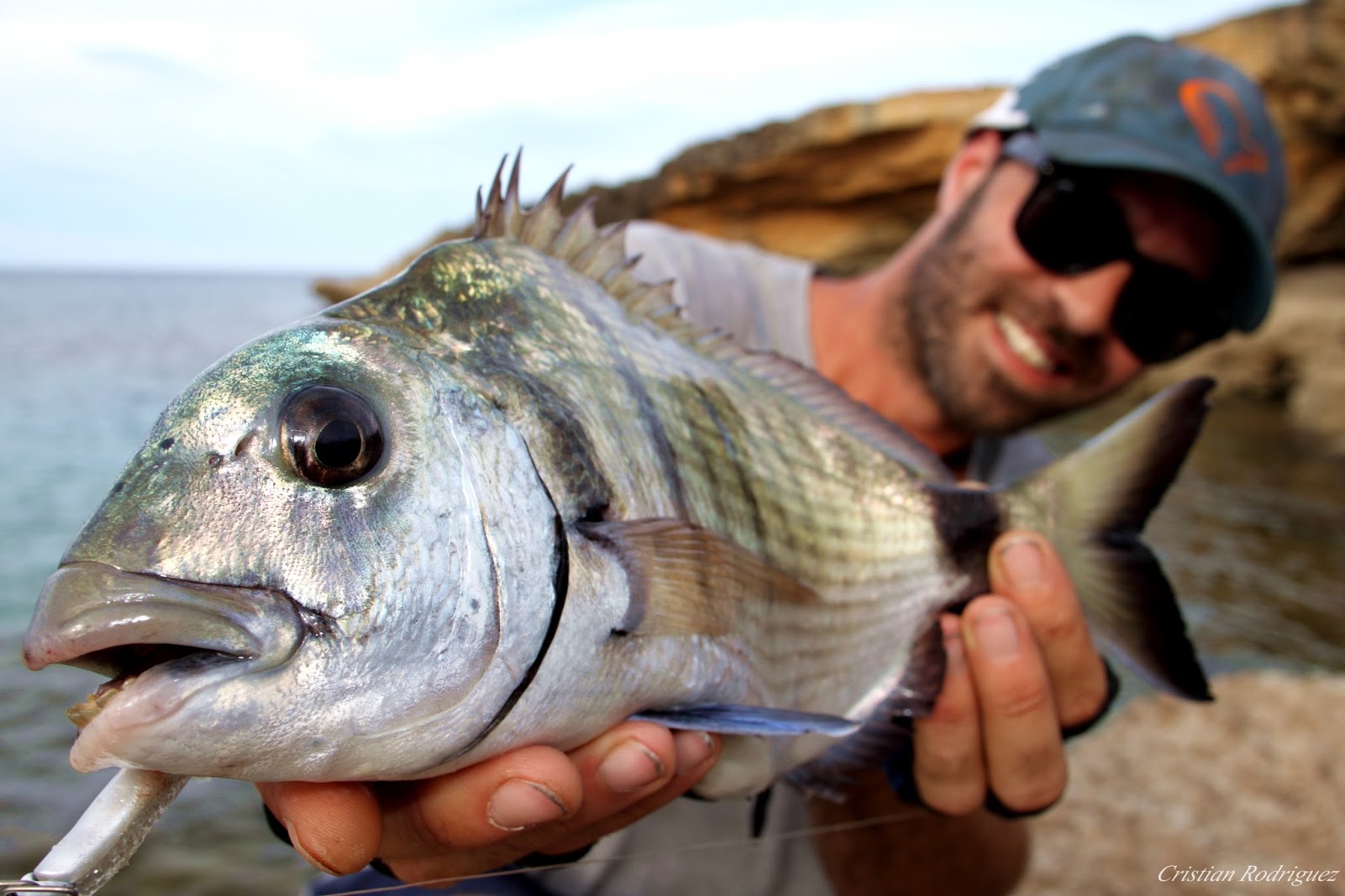 SPINNING, CAPTURA Y SUELTA