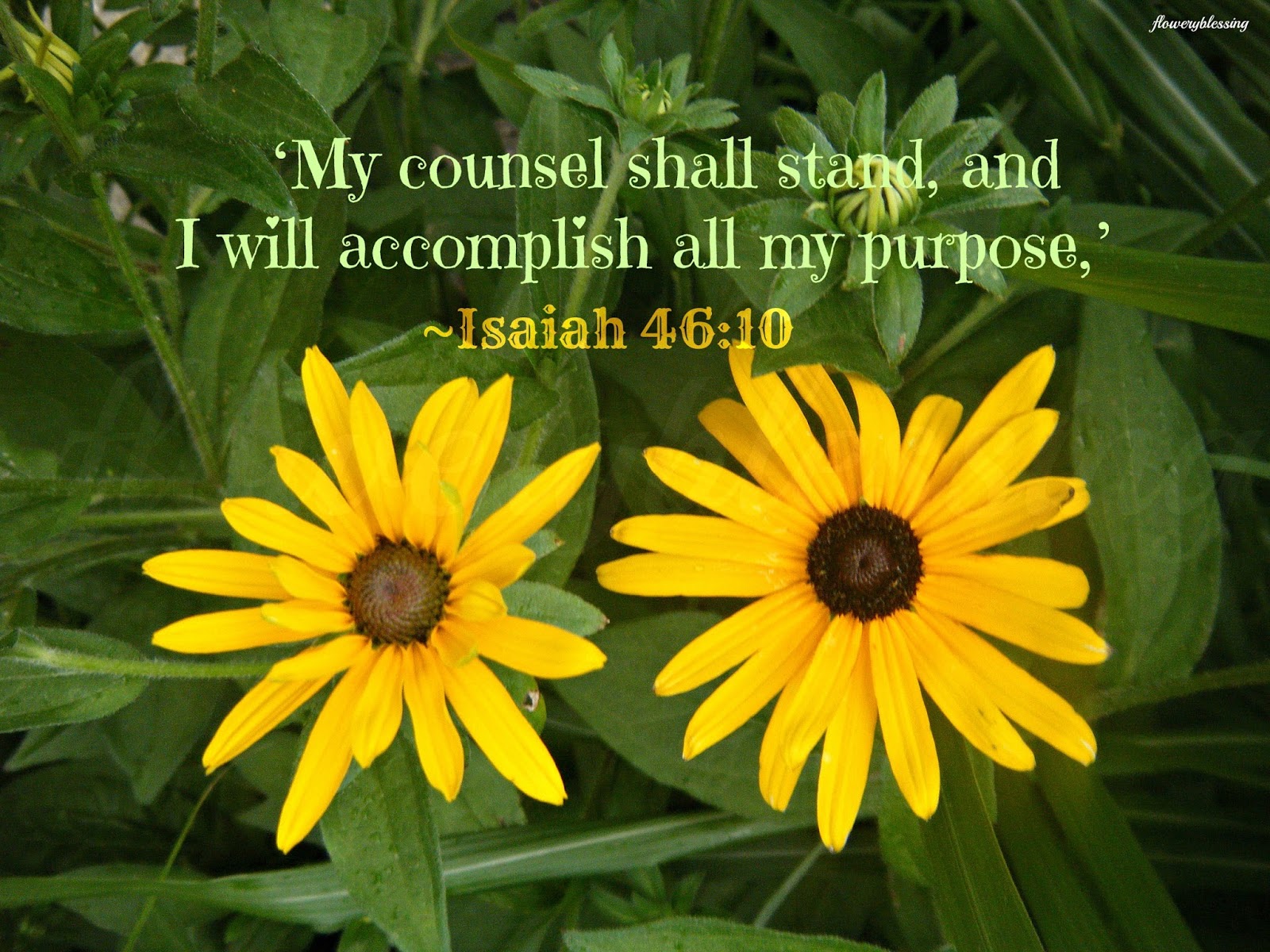 Flowery Blessing: Flowery Blessing: