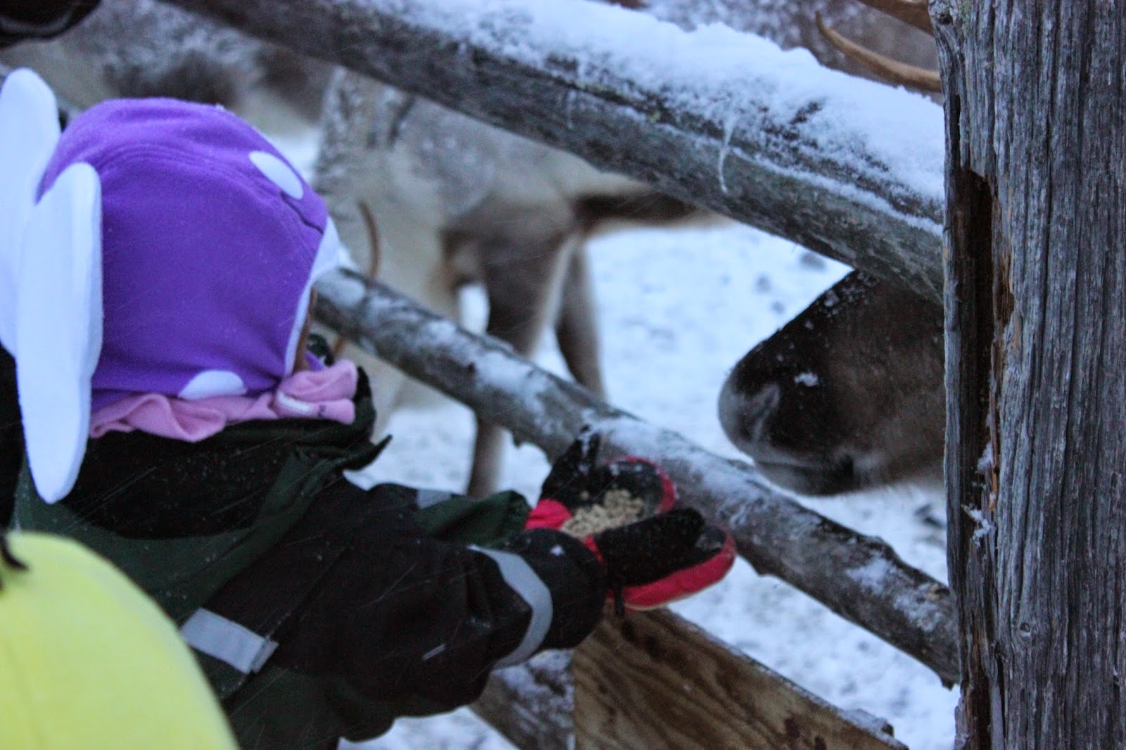 Paige Patricia Streeter