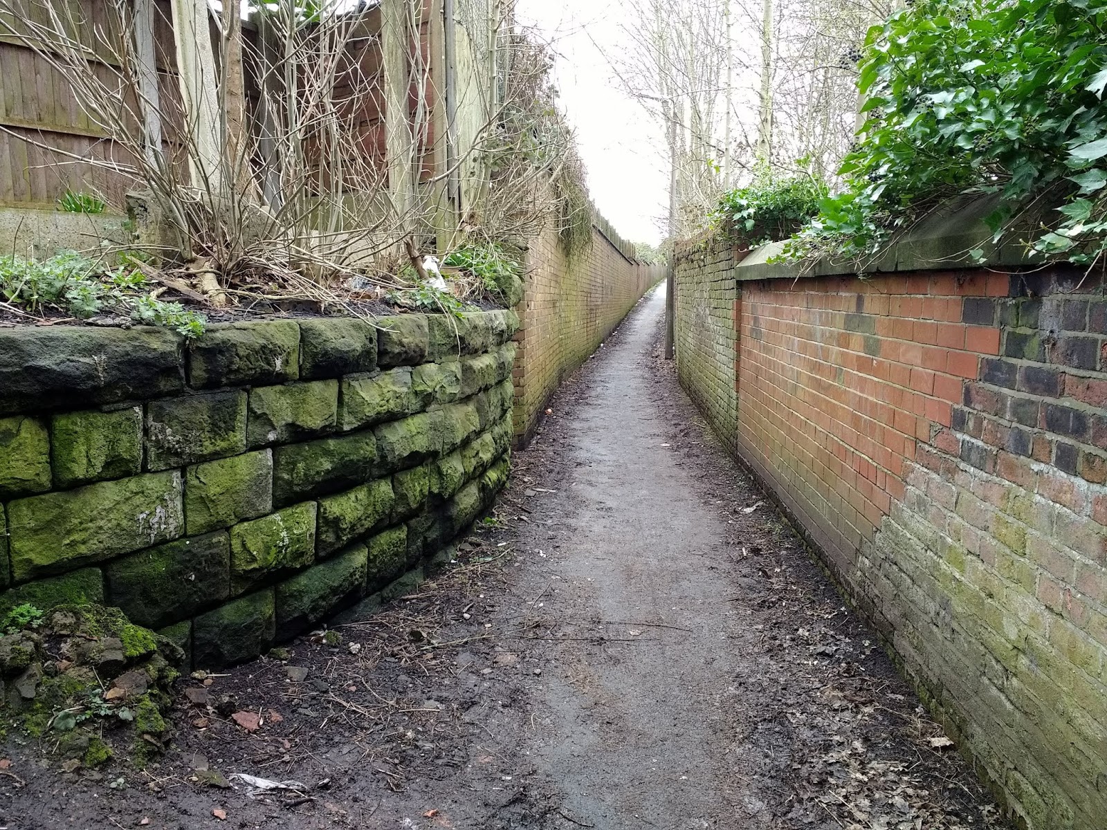 The Farnworth Photographic Project