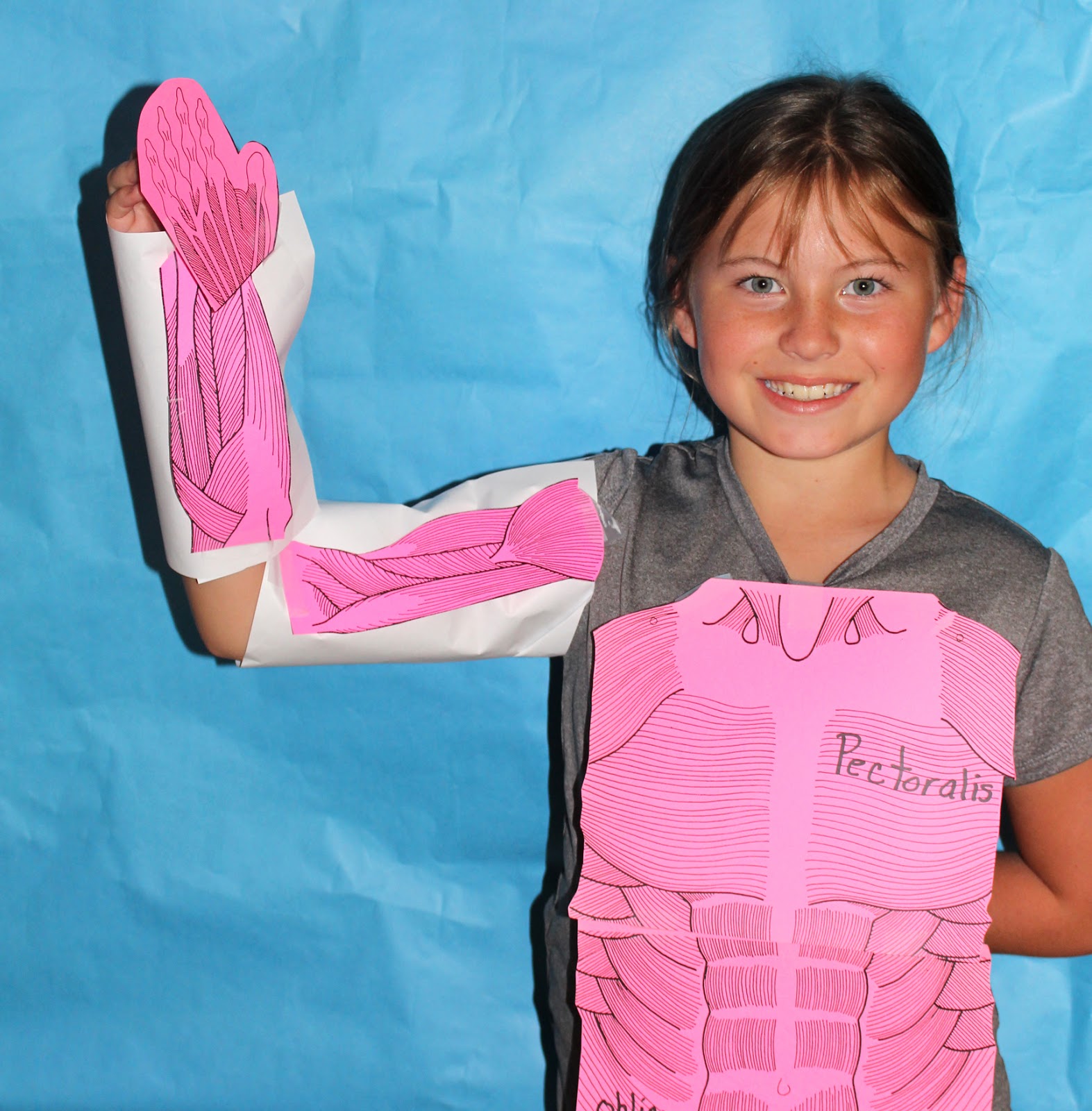 Wendy's Bookworks: Interactive Muscles: Wear It - Label It - Display It