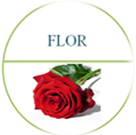 Comunicación oral: Signos y su importancia en la cotidianidad ...