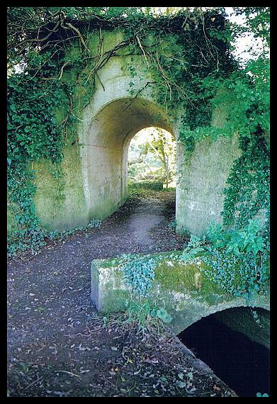 Past Remains in South-West Britain: Axe Valley WW2 Defences - Taunton ...