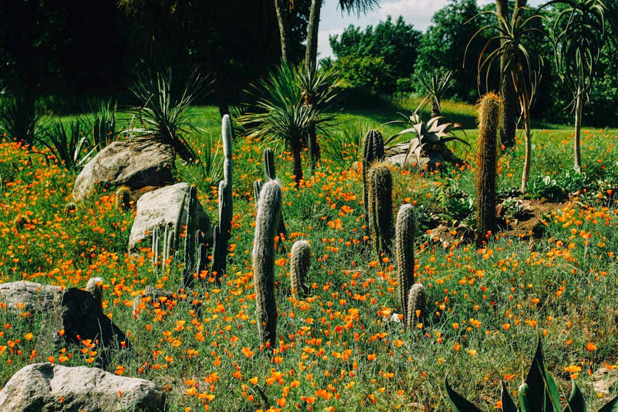 two thousand fourteen: Kew Gardens