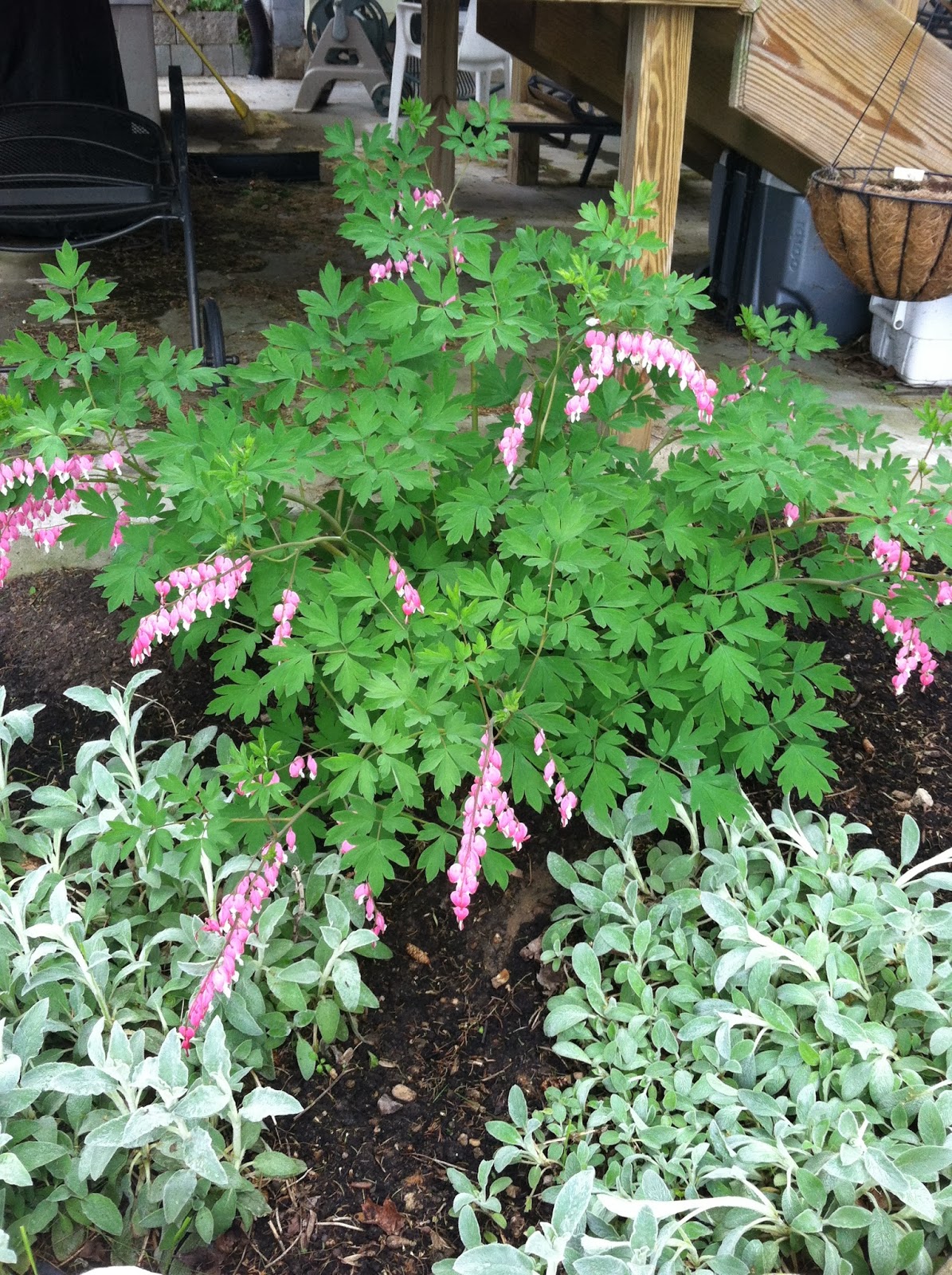 Beth Sexton Realtor in Southwestern Michigan