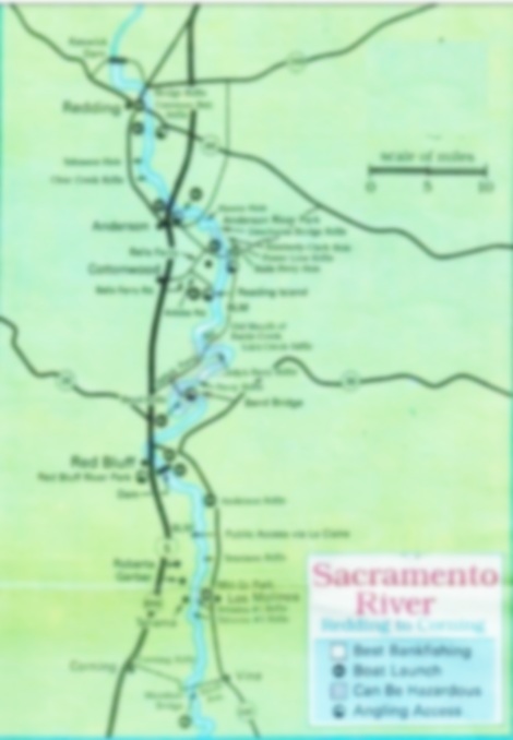 2023 SACRAMENTO RIVER STEELHEAD FISHING REPORT AND FISHING MAP WHERE TO ...