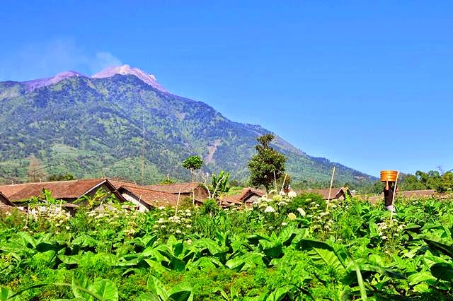 √ Obyek Wisata di Kawasan Merapi-Merbabu Selo Boyolali - Tempat Wisata ...