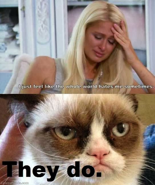 The 15 Funniest Celebrity Memes Ever | Celebs Funda