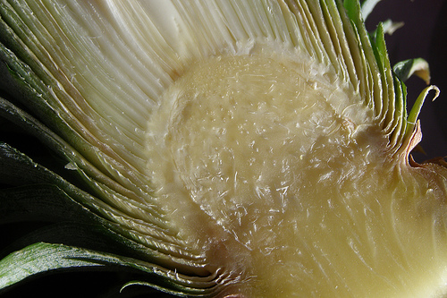 Anna Agyekum: Pina Fabric from the Philippines