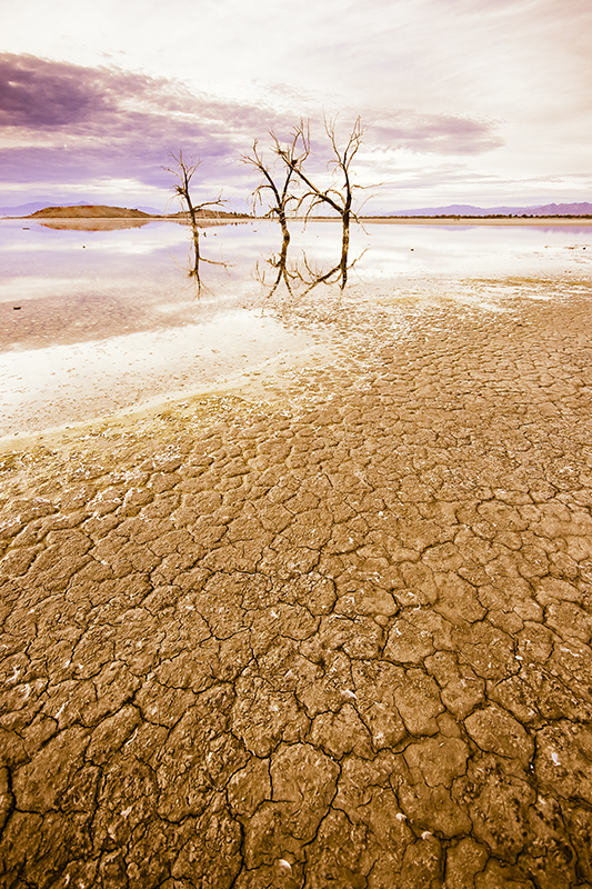 NeuroDojo: August 2011