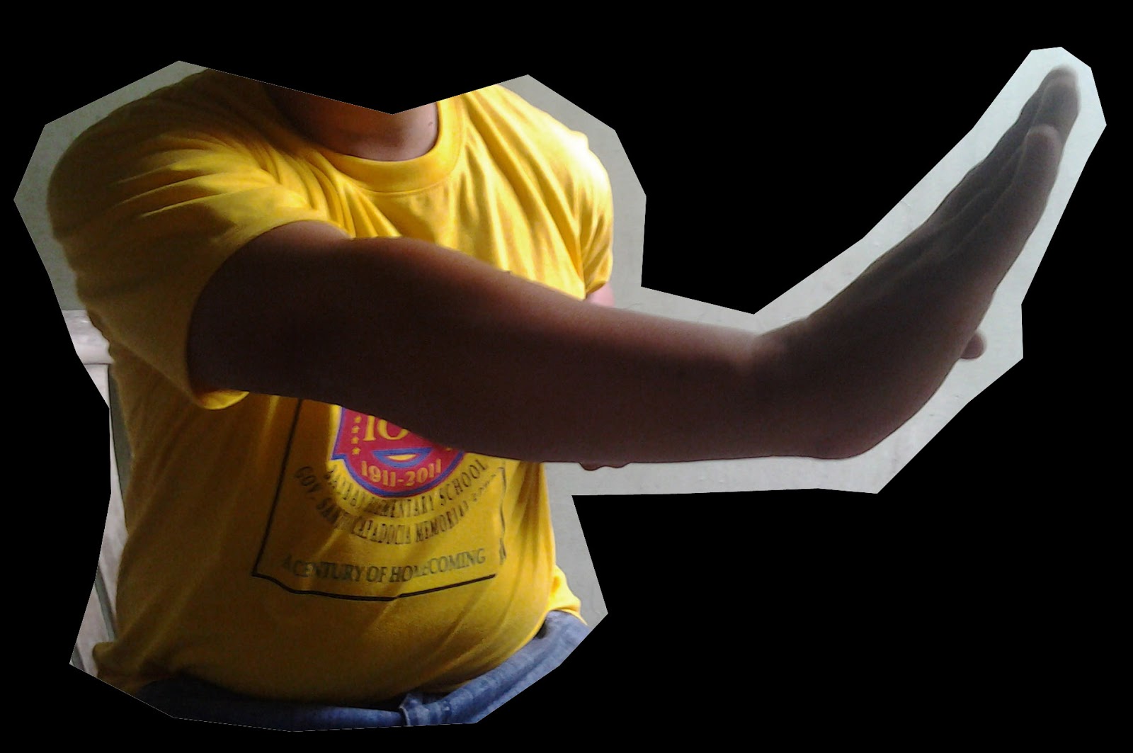 Mantis36: WING CHUN KUNG FU: Alphabets of Techniques