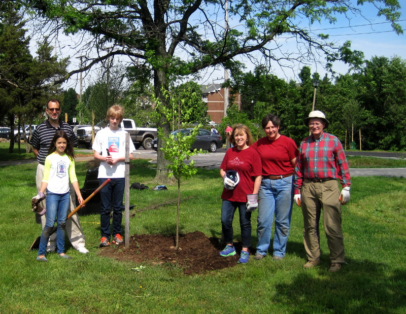 Four Mile Run Conservatory Foundation: Tree Care and Wetland ...