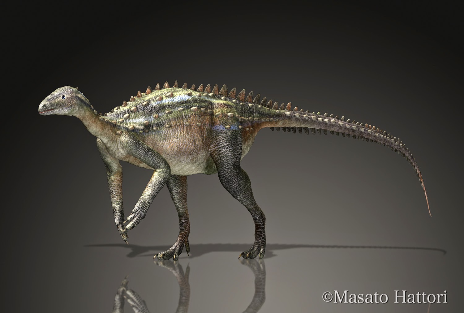 Scutellosaurus | Prehistoric animals, Paleo art, Dinosaur