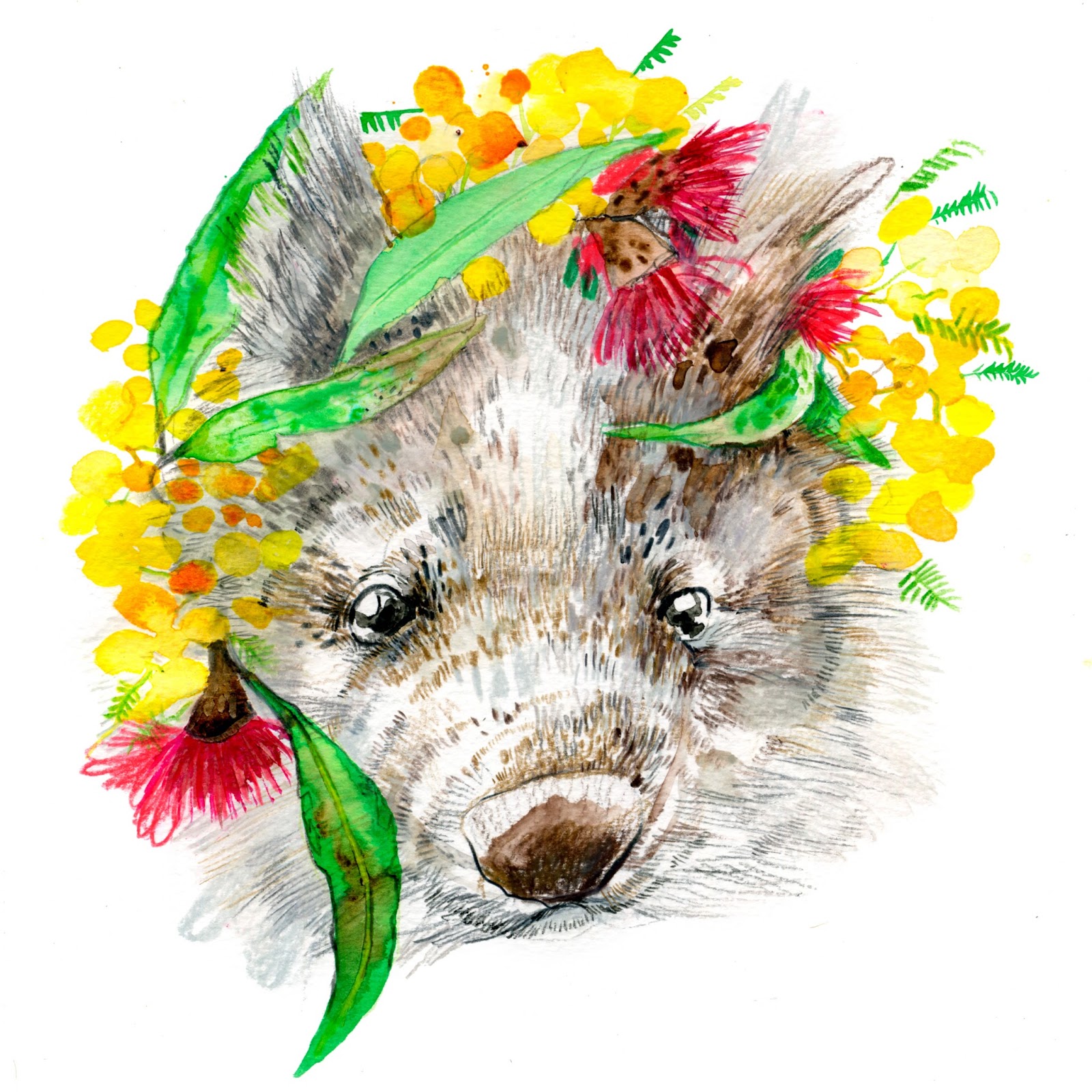 MC drawn: Wombat: Pencil, watercolour