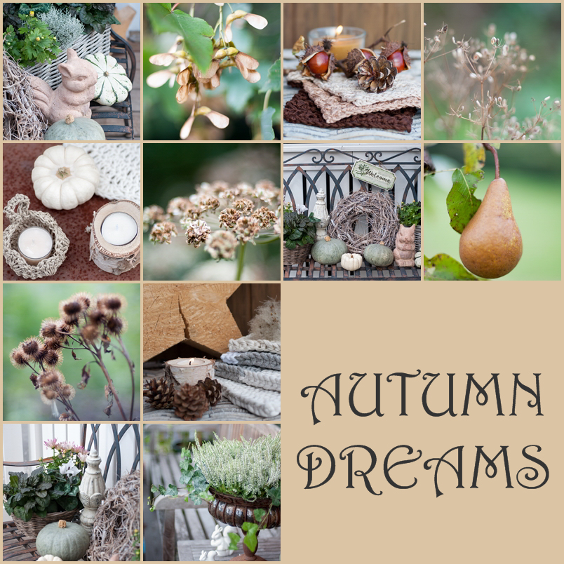 Herzenswärme: AUTUMN DREAMS